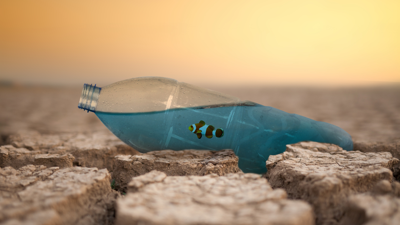 A Guide to Emergency Water Purification: Tips to Keep Your Water Clean ...